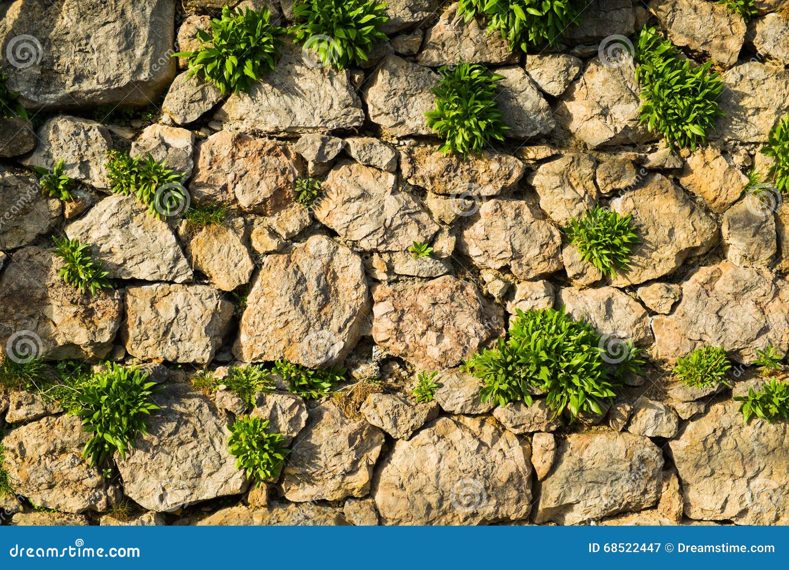 Overgrown stone wall stock image. Image of wall, background - 68522447