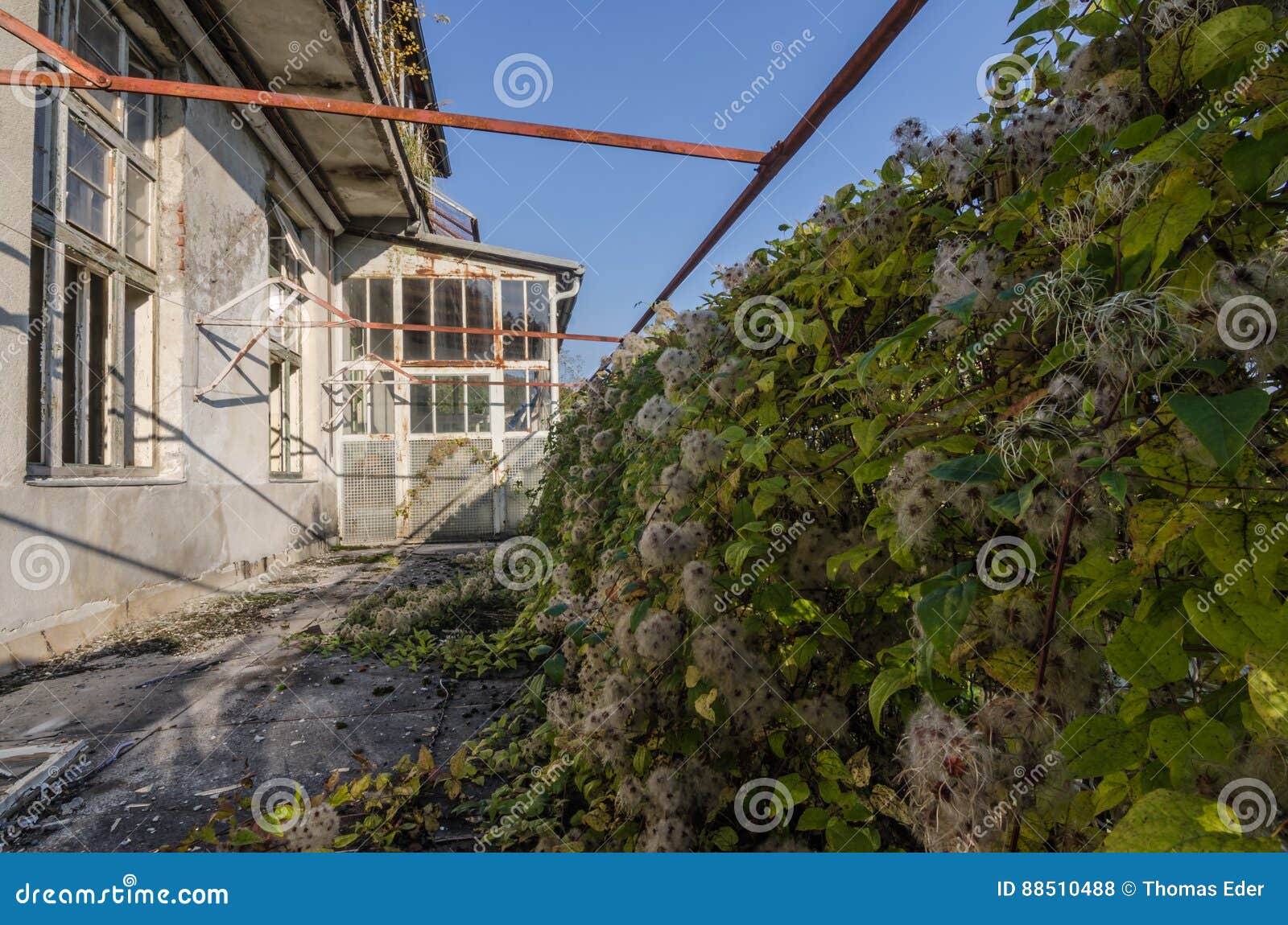 Overgrown Terrace Hospital Stock Photos - Free & Royalty-Free Stock ...