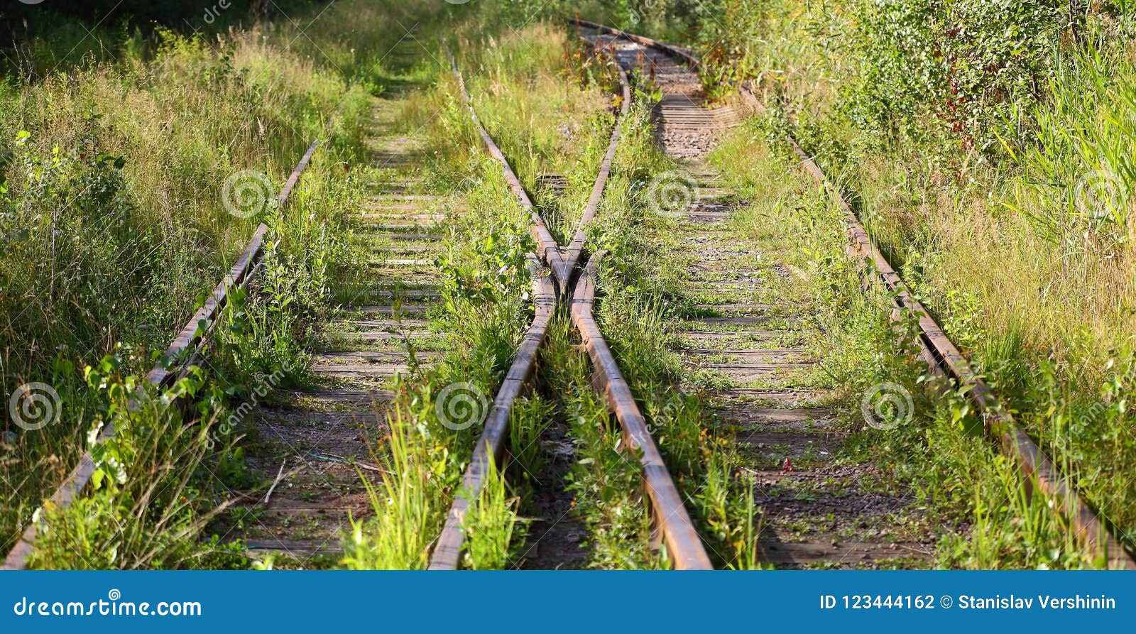 Overgrown old railway stock photo. Image of grass, abandoned - 123444162