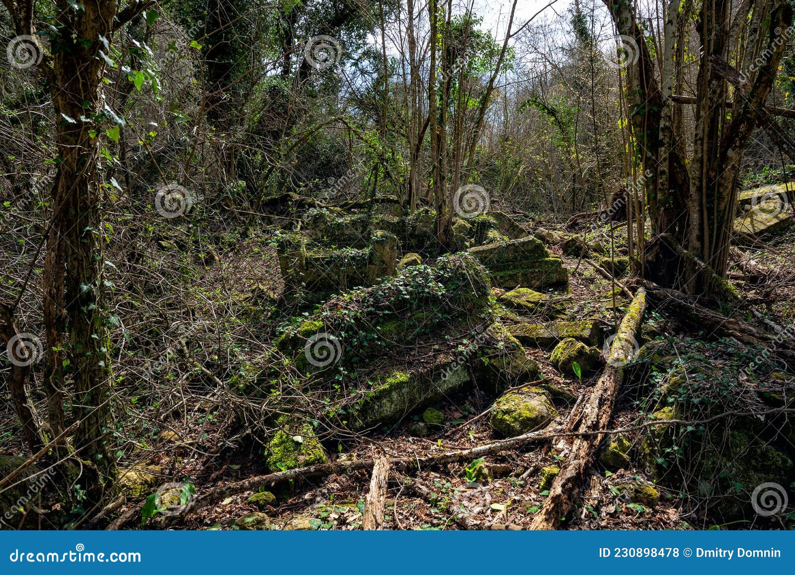 Overgrown Tombstones of an Ancient Cemetery Stock Photo - Image of ...