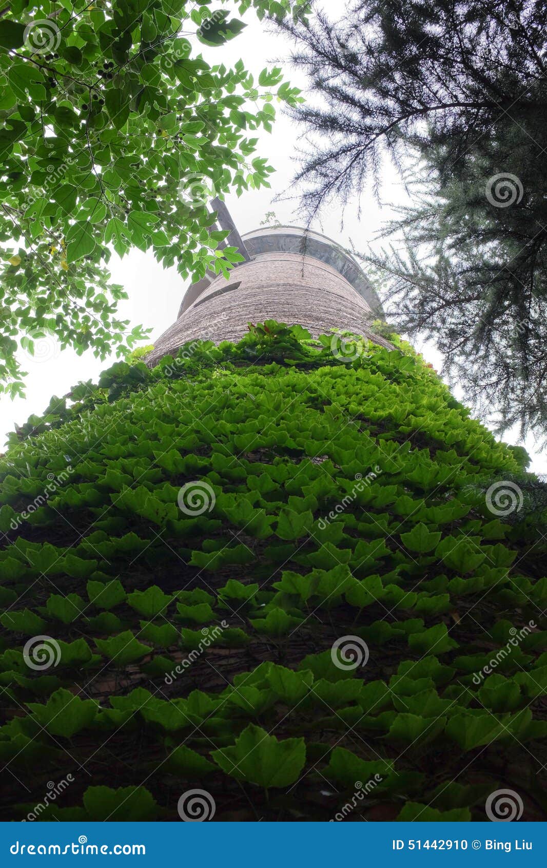 Overgrown tower stock photo. Image of plant, bottom, stone - 51442910