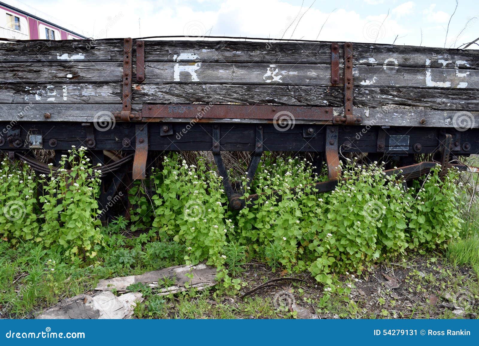 Overgrown train car stock image. Image of wood, train - 54279131