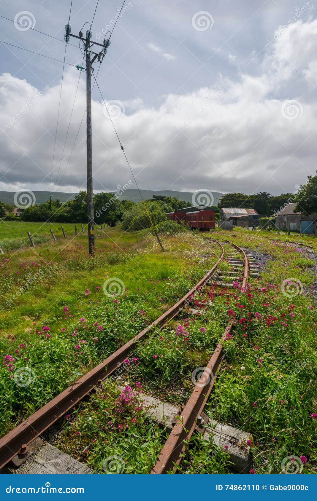 Overgrown Train Tracks Landscape Stock Photo - Image of railway, nature ...