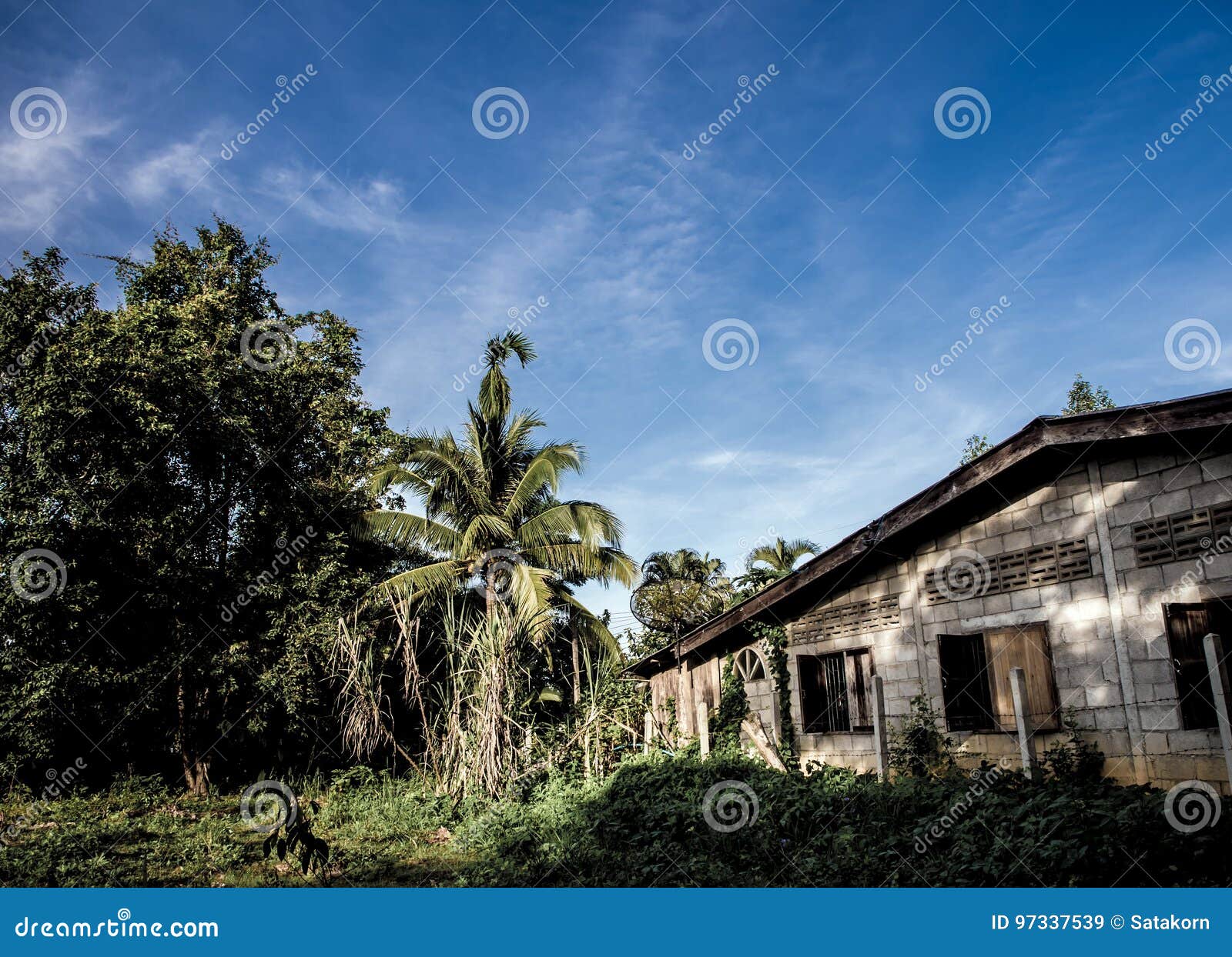 Old Overgrown By Trees Ruined Abandoned Mansion Stock Image ...