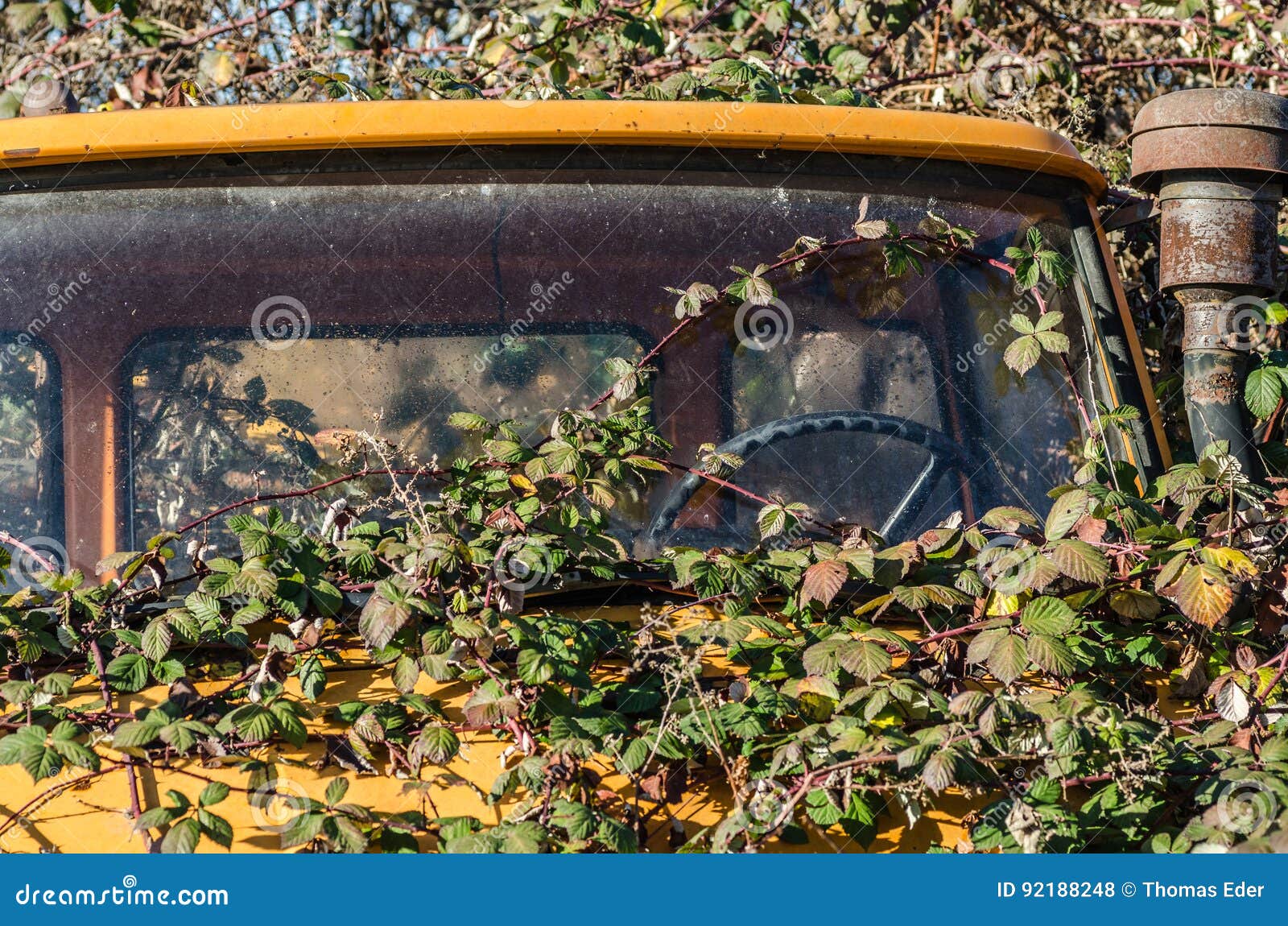 Overgrown vehicle stock photo. Image of exploration, machine - 92188248
