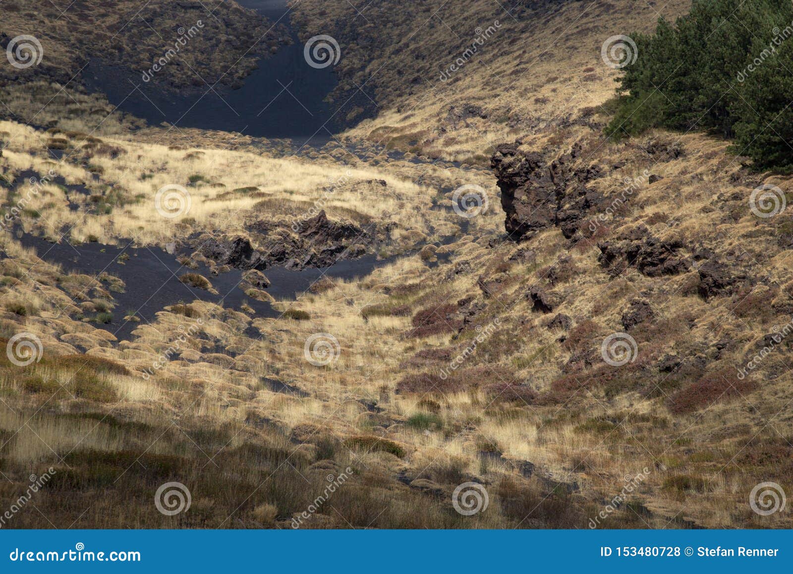 Overgrown volcano stock photo. Image of lava, hills - 153480728