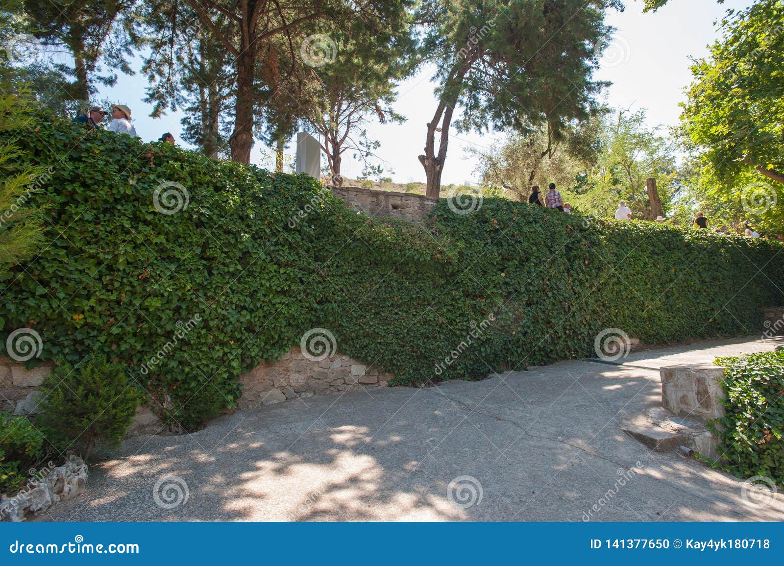 Overgrown Wall, Nature Takes Its. Green Comes Stock Photo - Image of ...