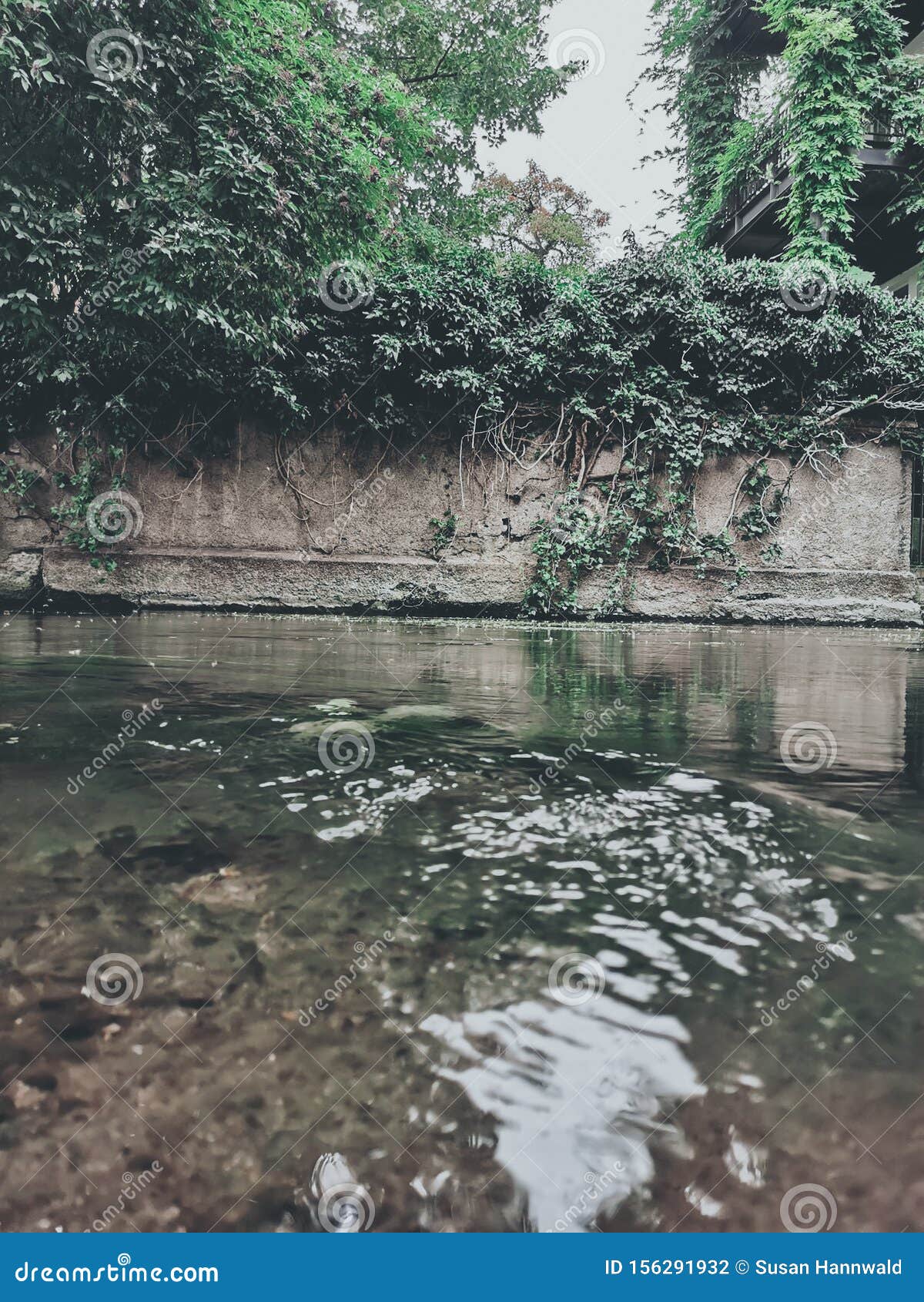 Overgrown Wall and the River Flows. Stock Photo - Image of nature ...
