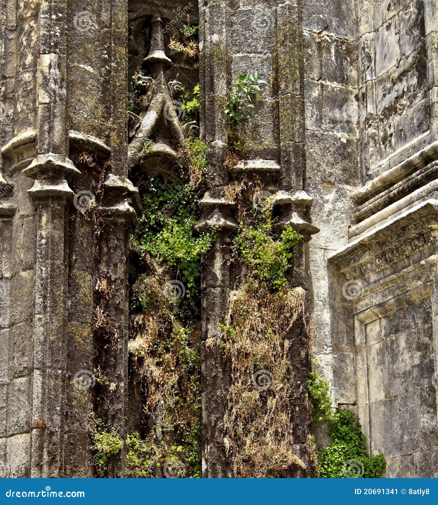 Overgrown Wall of Seville Cathedral Stock Image - Image of overgrown ...