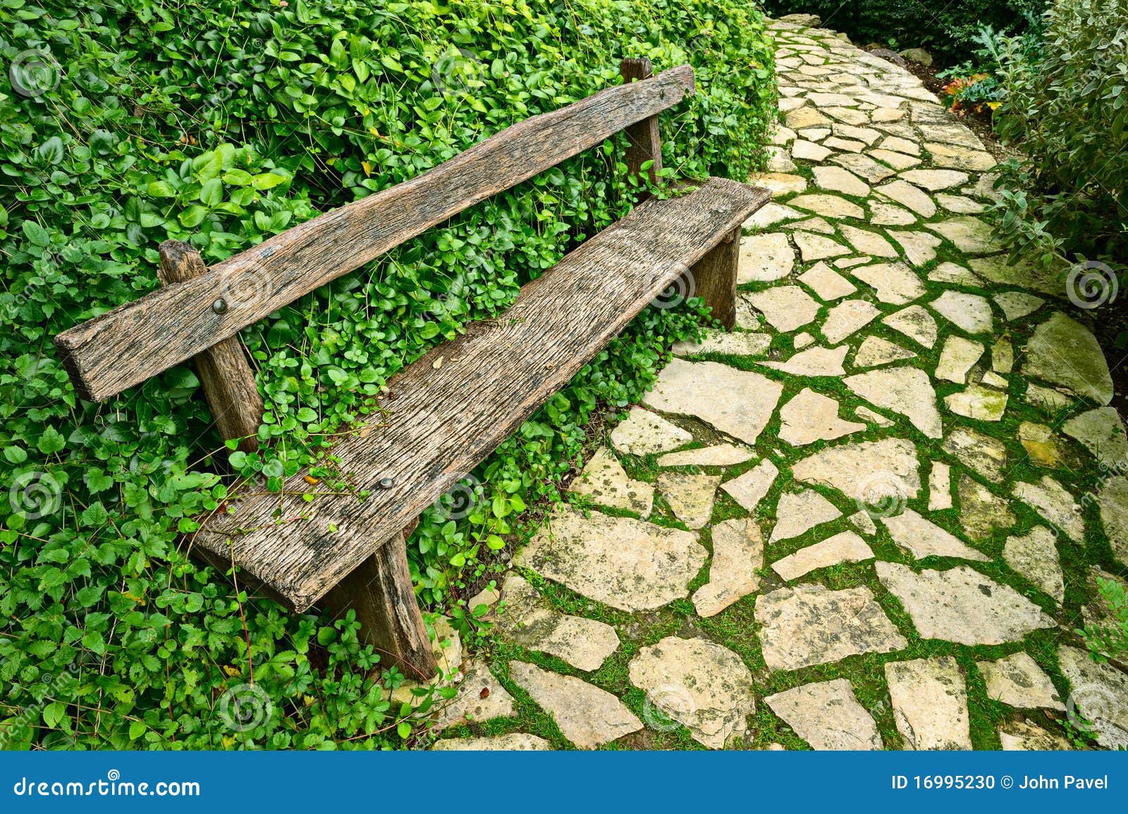 Overgrown Weathered Wooden Bench,paved Garden Path Stock Photo - Image ...