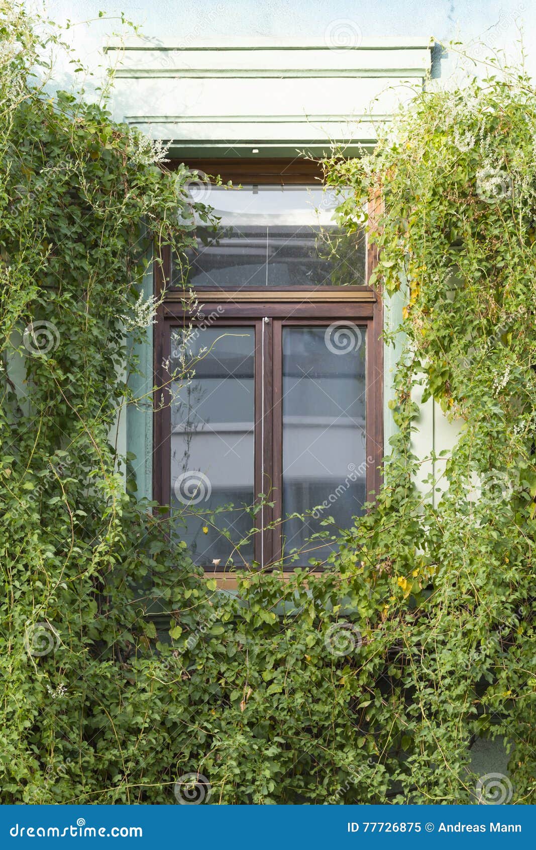 Overgrown Window Detail Royalty-Free Stock Photo | CartoonDealer.com ...