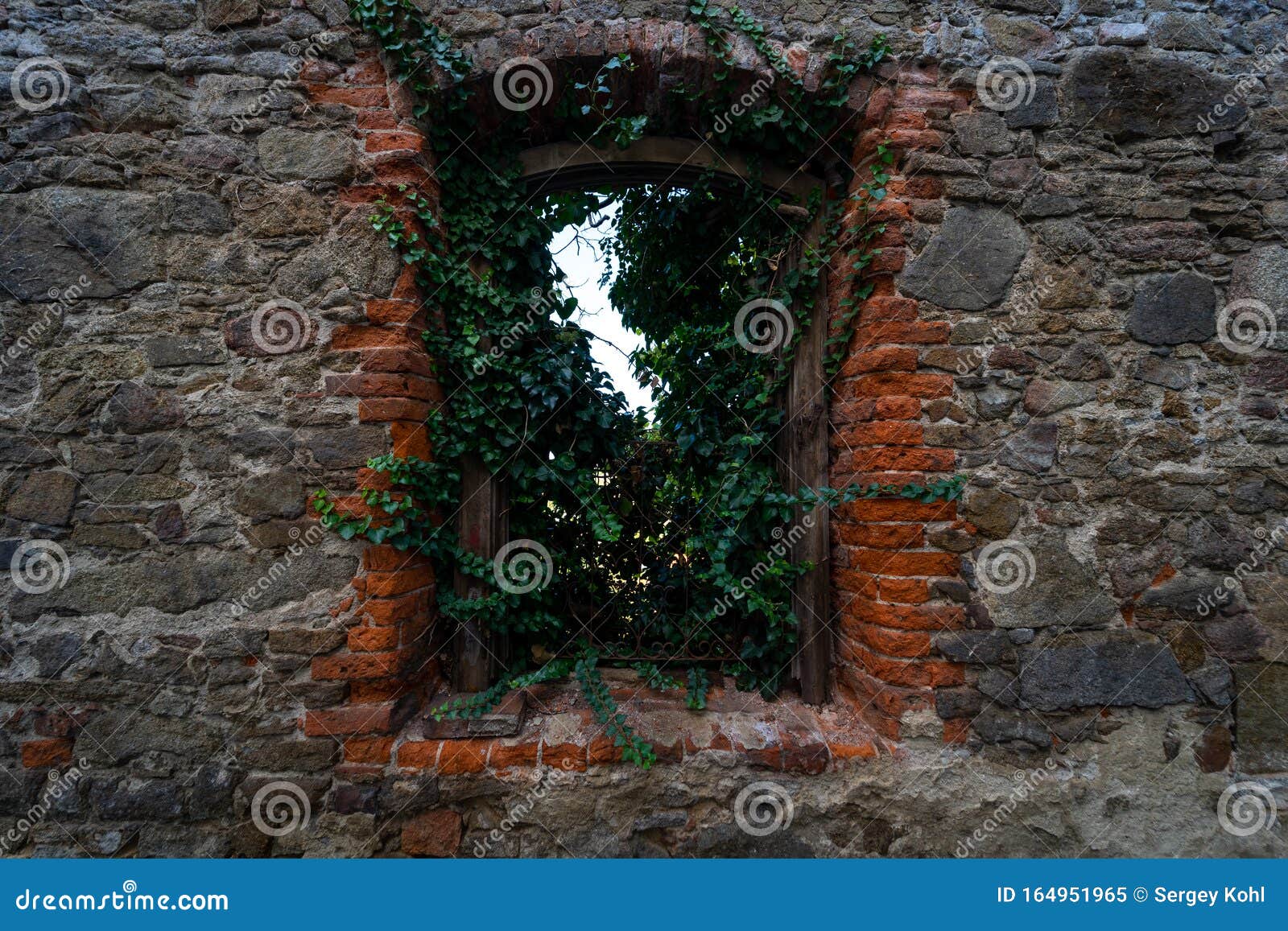 Overgrown Window Detail Royalty-Free Stock Photo | CartoonDealer.com ...