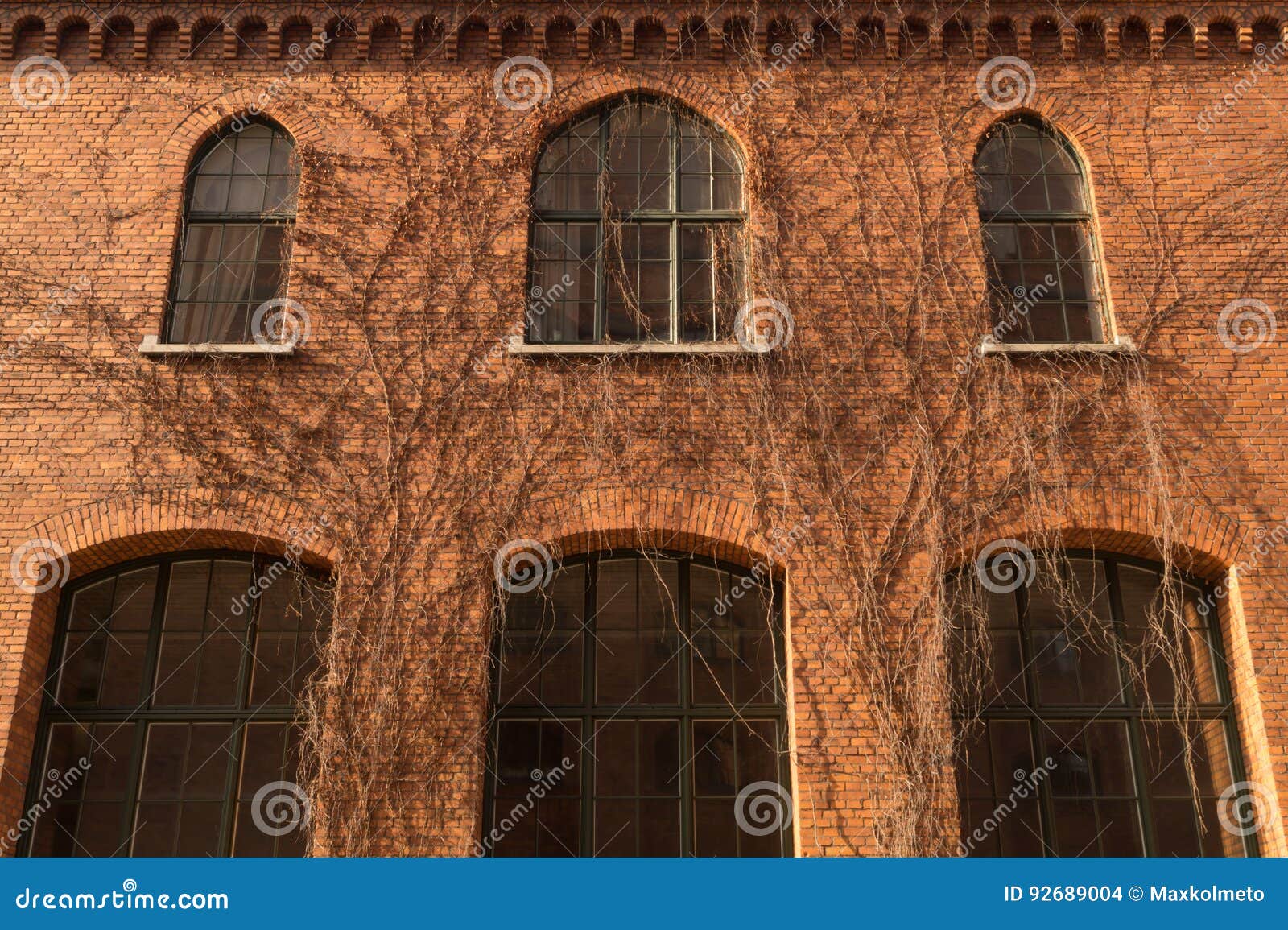 Overgrown Windows on the Brick Wall with Plant Branches Stock Photo ...