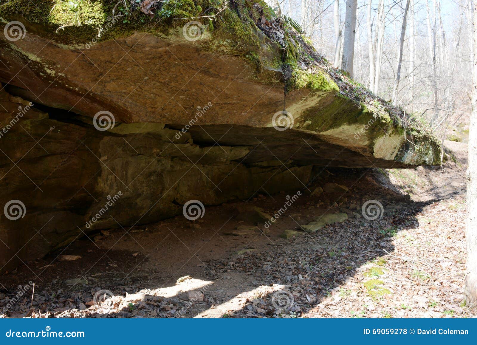 Overhang stock photo. Image of trees, formation, overhang - 69059278