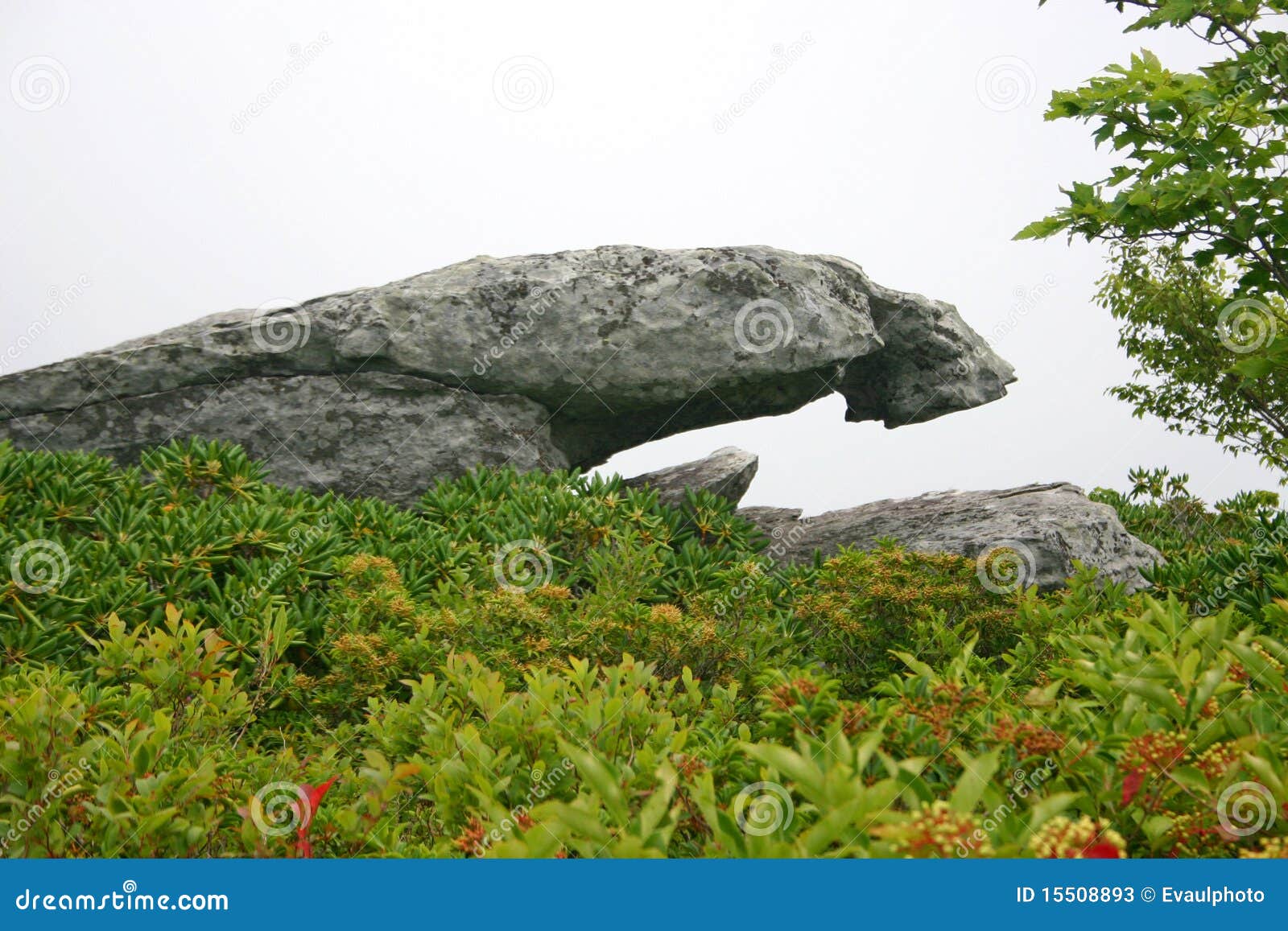 Overhanging Rock stock image. Image of hang, phenomenon - 15508893