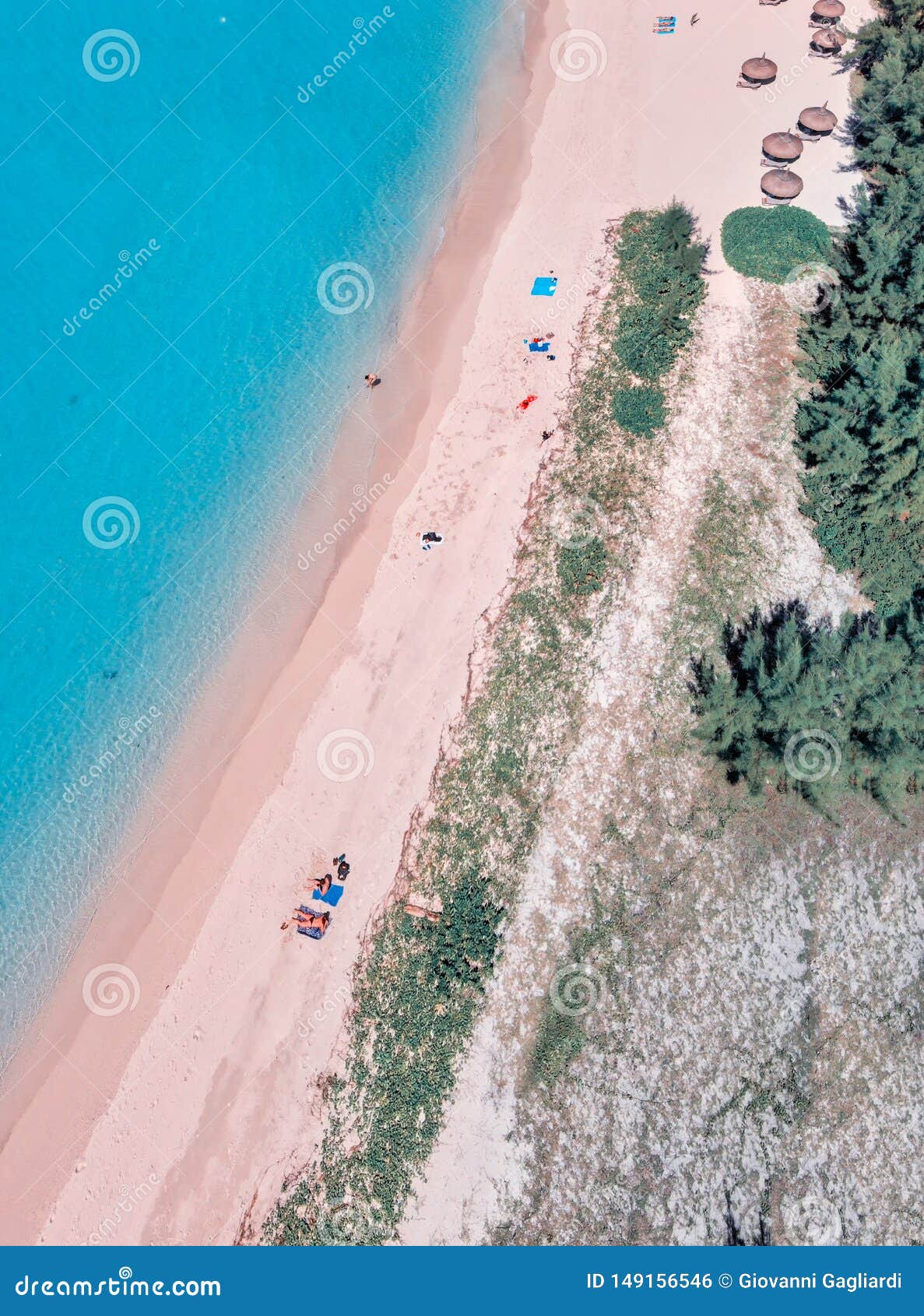 Overhead Aerial View of Beautiful Beach with Vegetation Editorial Photo ...