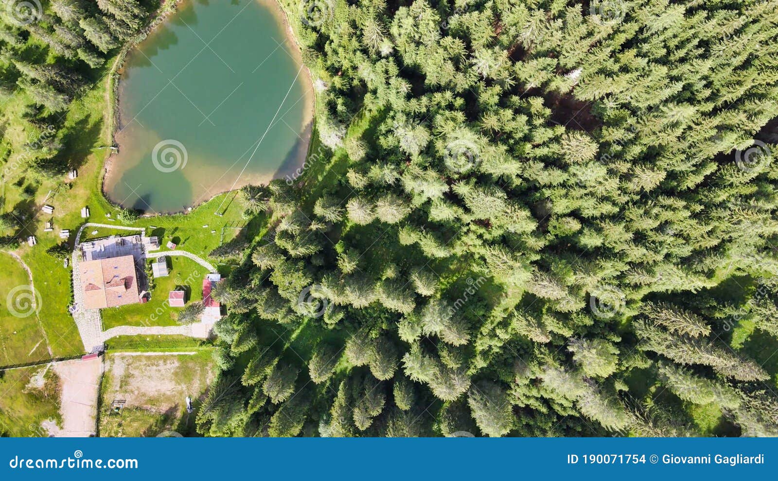Overhead Aerial View of Beautiful Mountain Trees in Summertime Stock ...