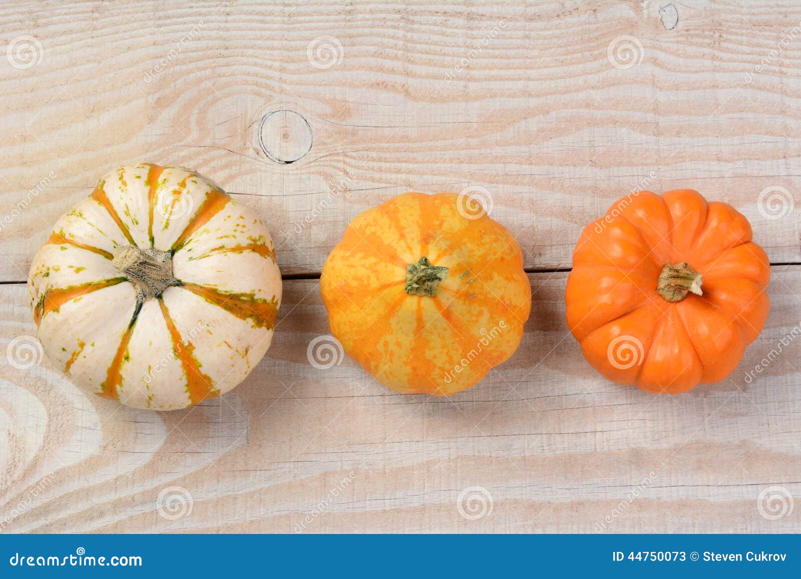 Overhead Decorative Pumpkins Stock Image - Image of display, rustic ...