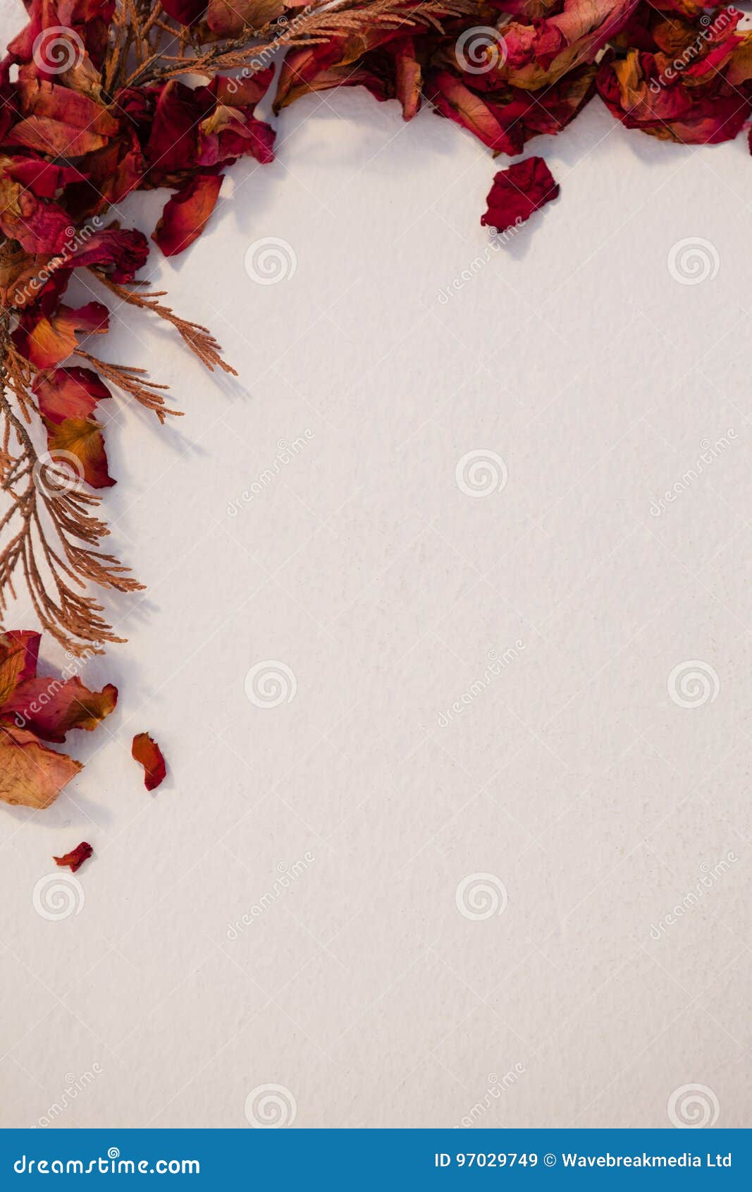 Overhead of Dried Autumn Leaves Stock Image - Image of maple, month ...