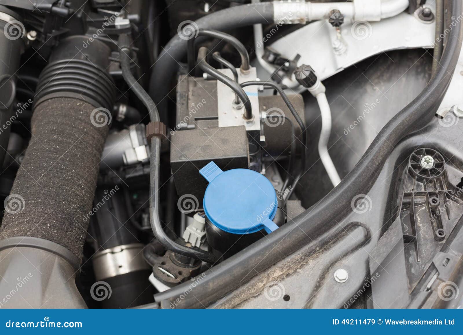 Overhead of Engine in Bonnet Stock Image - Image of indoors, automobile ...