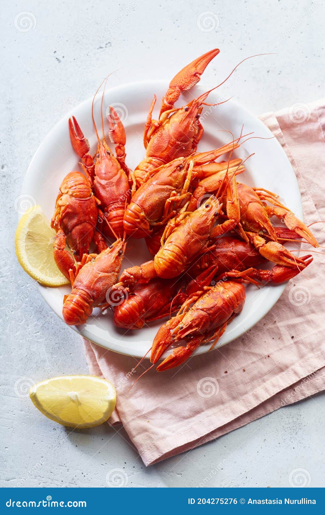 Top view of red crayfish stock photo. Image of crustacean - 204275276