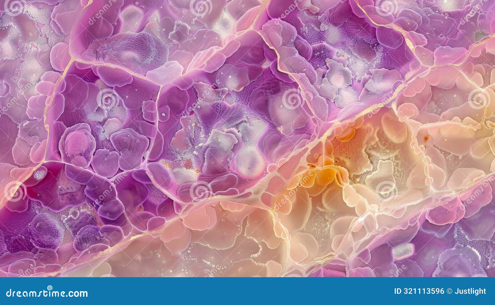 An Overhead Image of Transitional Epithelium Showing Multiple Layers of ...