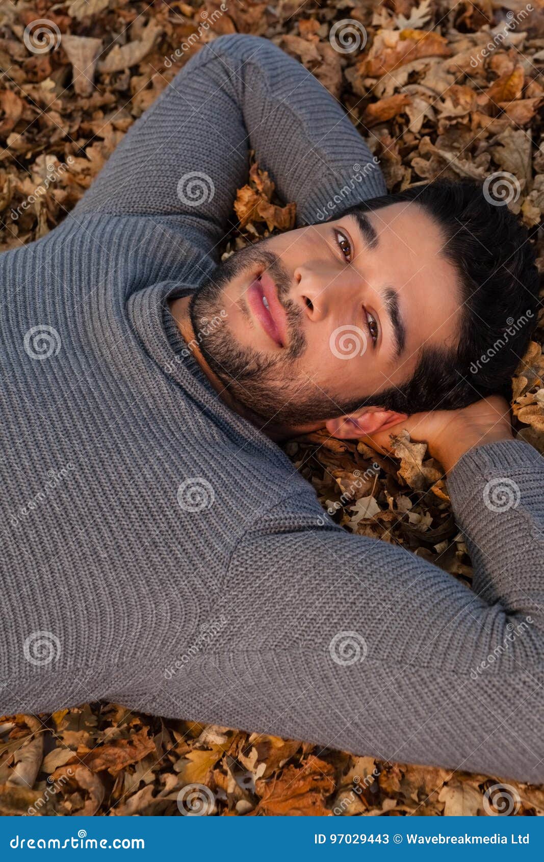 Overhead of Man Lying on Autumn Leaves Stock Image - Image of handsome ...