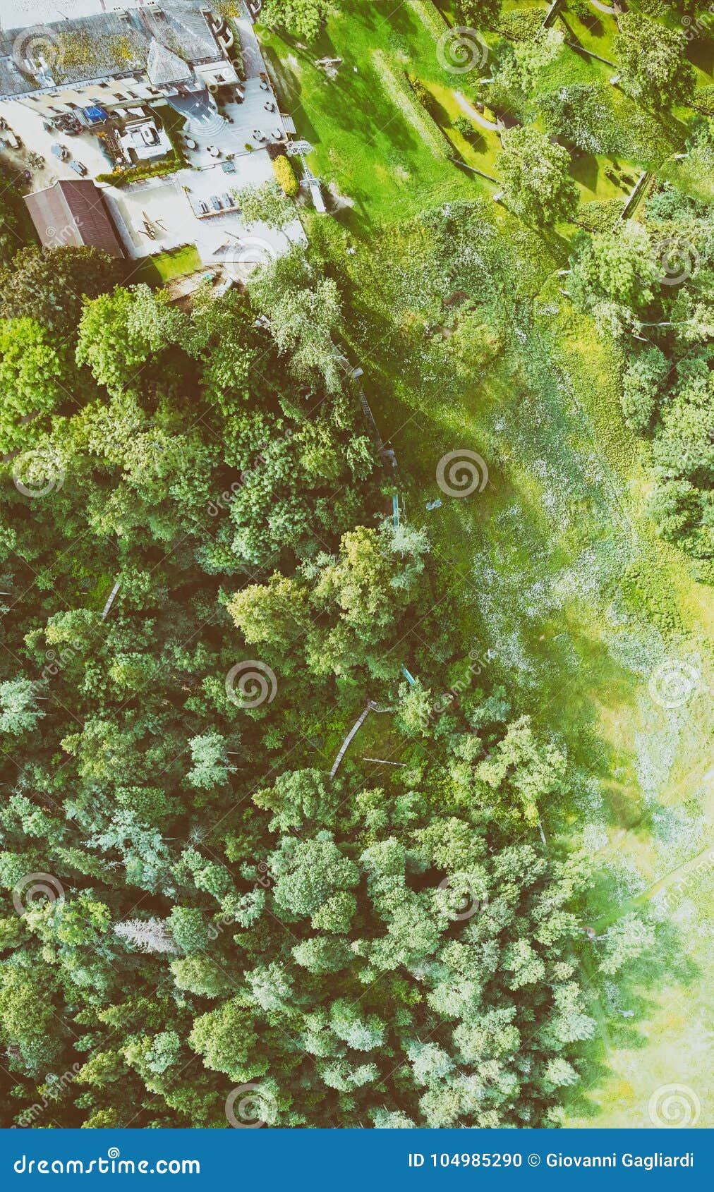 Overhead Panoramic View of Forest and Homes Stock Photo - Image of ...