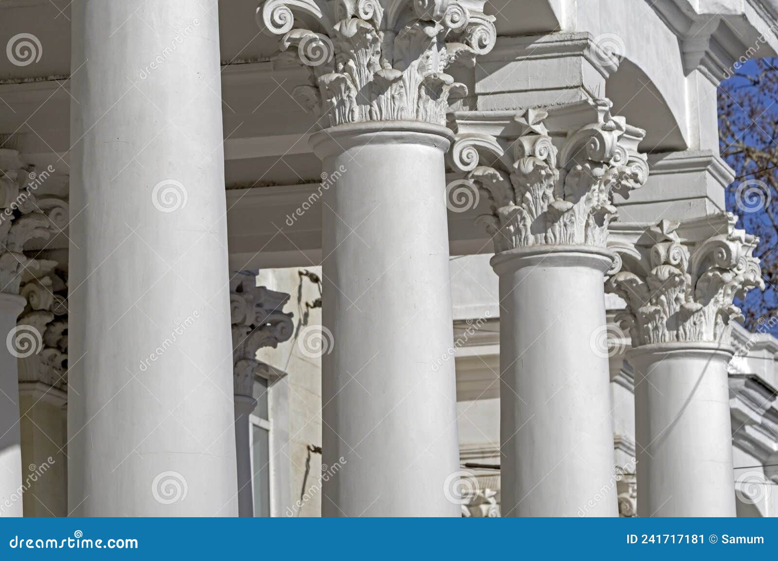 Overhead part of columns stock image. Image of ornate - 241717181