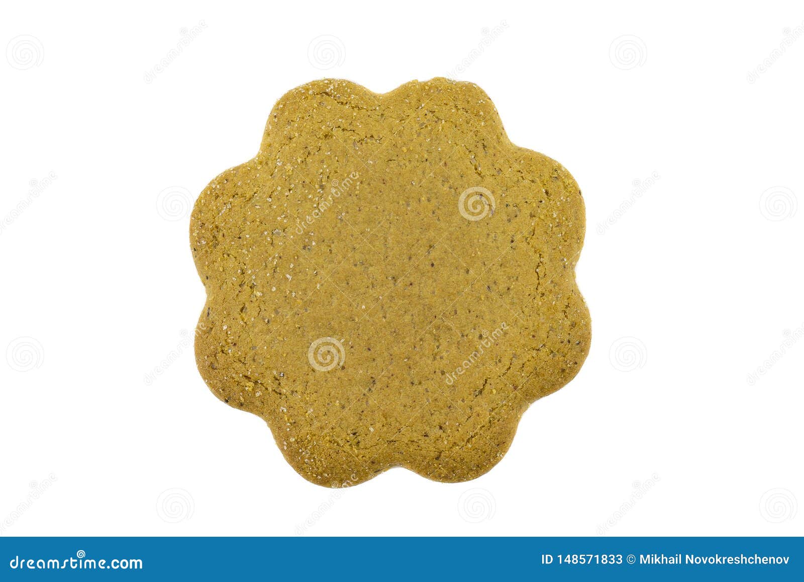 An Overhead Photo of a Single Ginger Cookie, Isolated on White ...