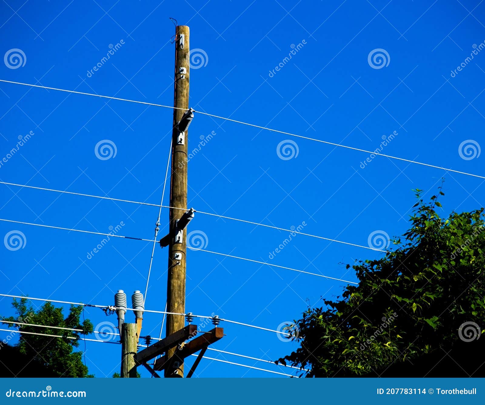 Overhead Power Line in a Neighborhood Stock Photo - Image of grid ...