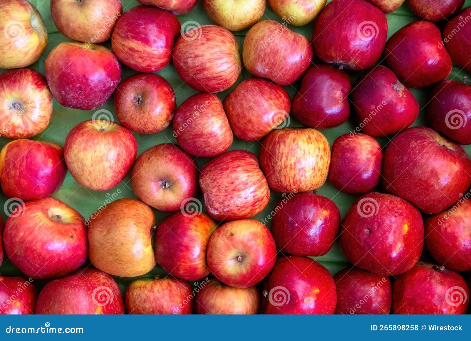 Overhead Shot of a Bunch of Apples Stock Photo - Image of nature, apple ...