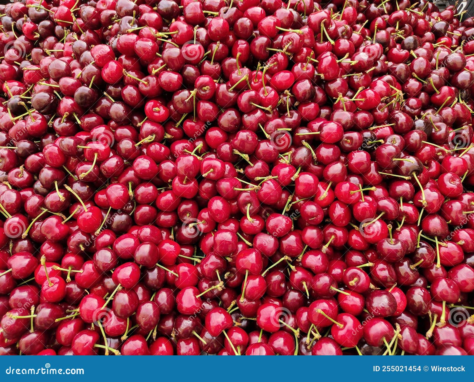 Overhead Shot of a Bunch of Cherries Stock Photo - Image of cherry ...