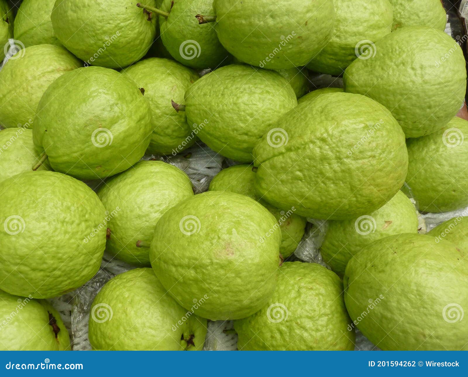 Overhead Shot of a Bunch of Fresh Common Guavas Stock Photo - Image of ...