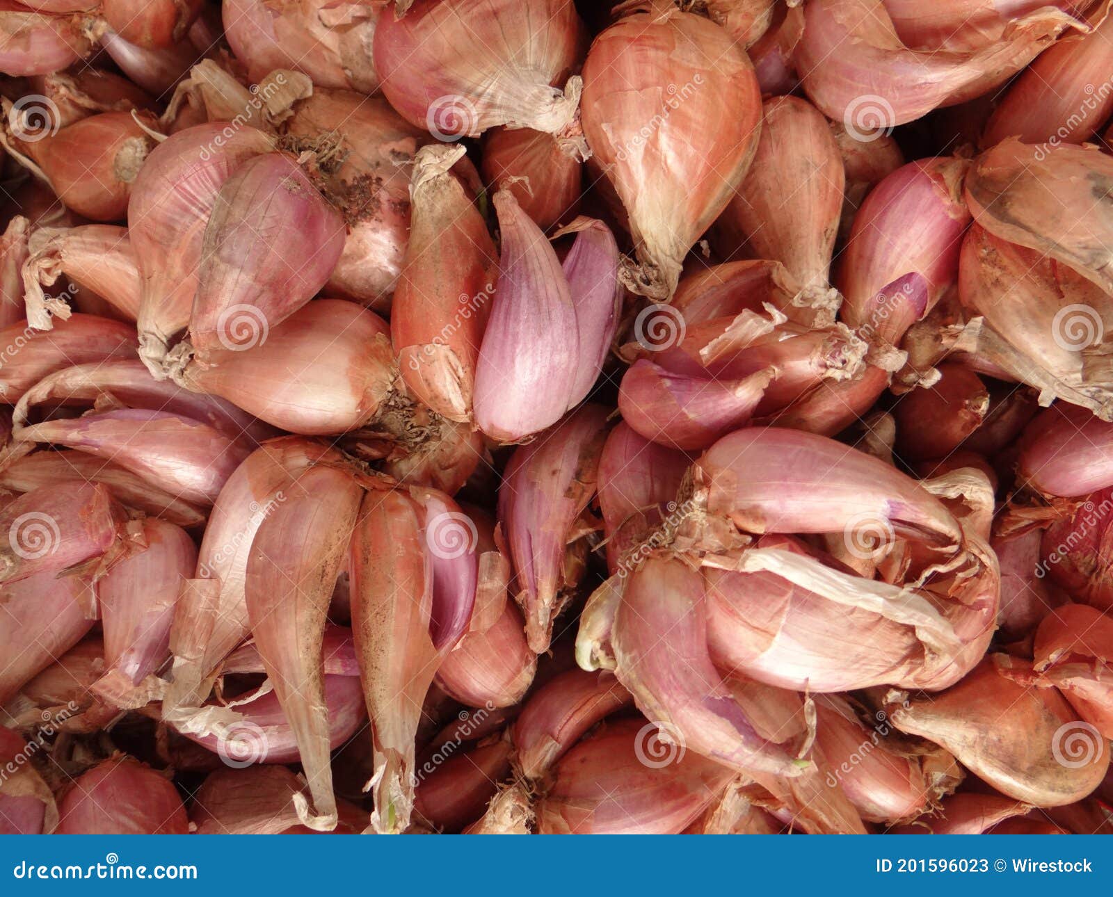 Overhead Shot of Cloves of Shallot Onions in a Bunch Stock Image ...