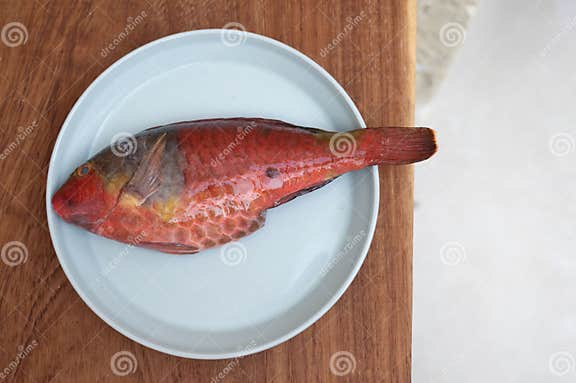 Overhead Shot of a Fish on a Plate Stock Image - Image of fish, healthy ...