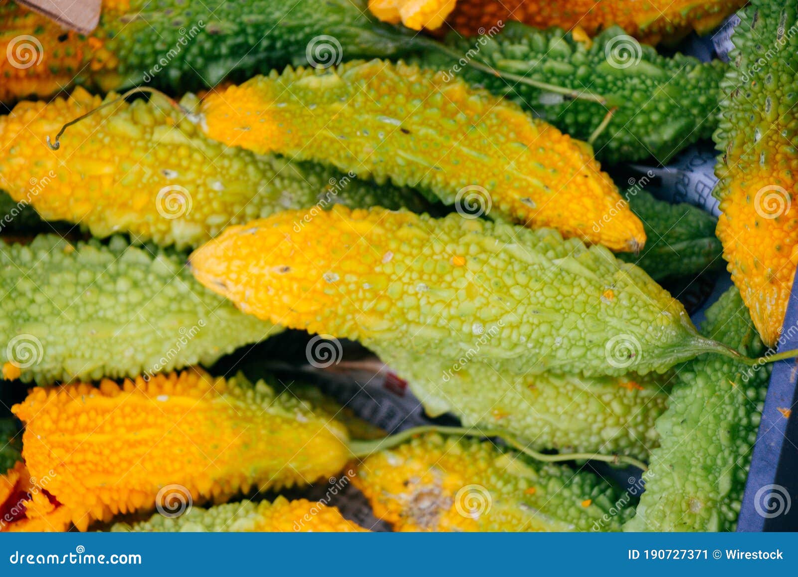 Overhead Shot of Ripe Bitter Gourd in a Crate Stock Image - Image of ...
