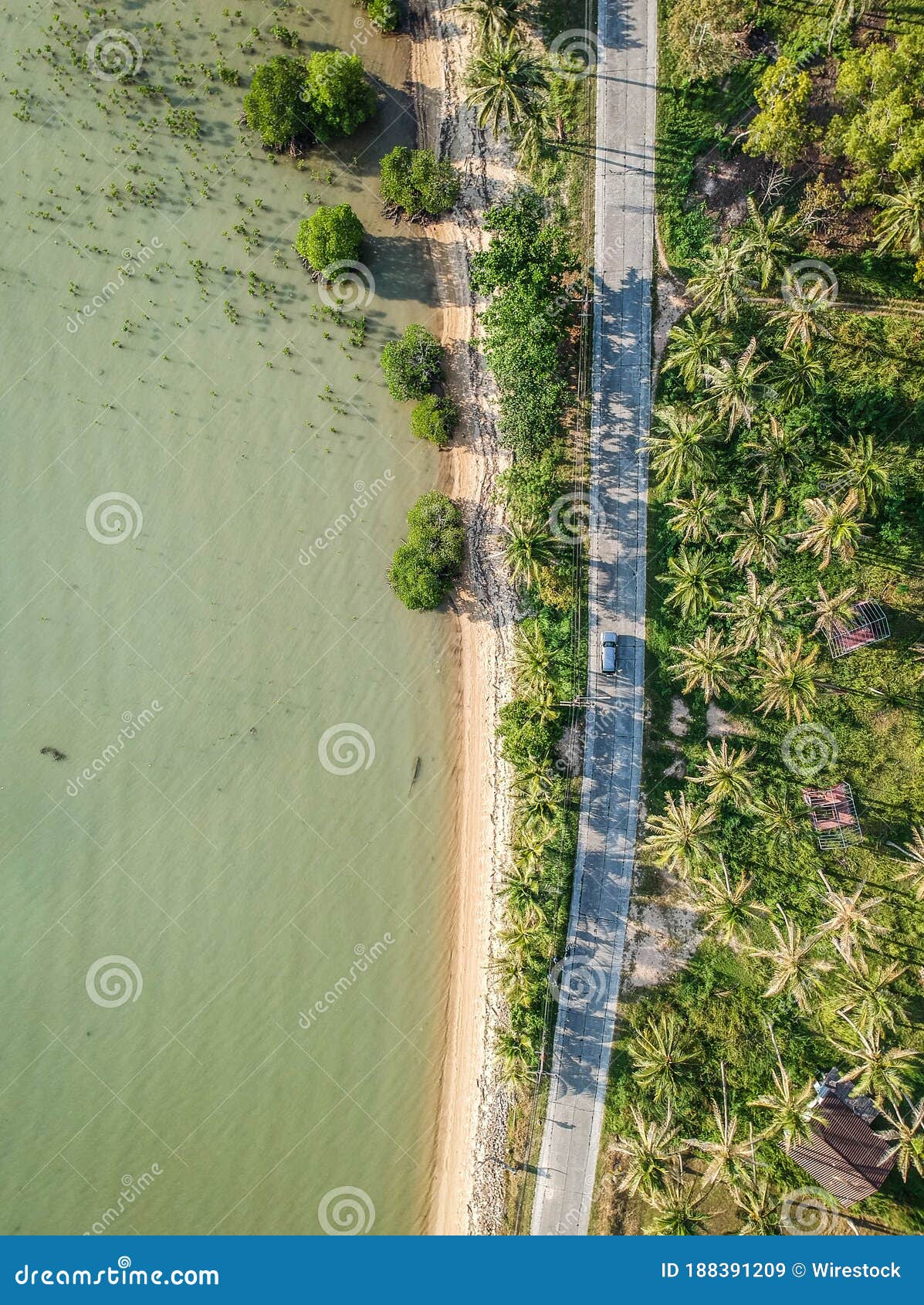 Overhead Shot of a Road Next To the Trees and the Lake Stock Image ...