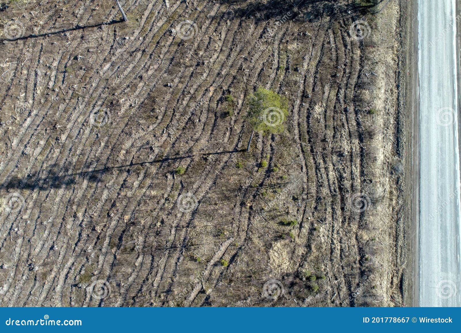 Overhead Shot of a Rural Dirt Field Stock Image - Image of trail, rural ...