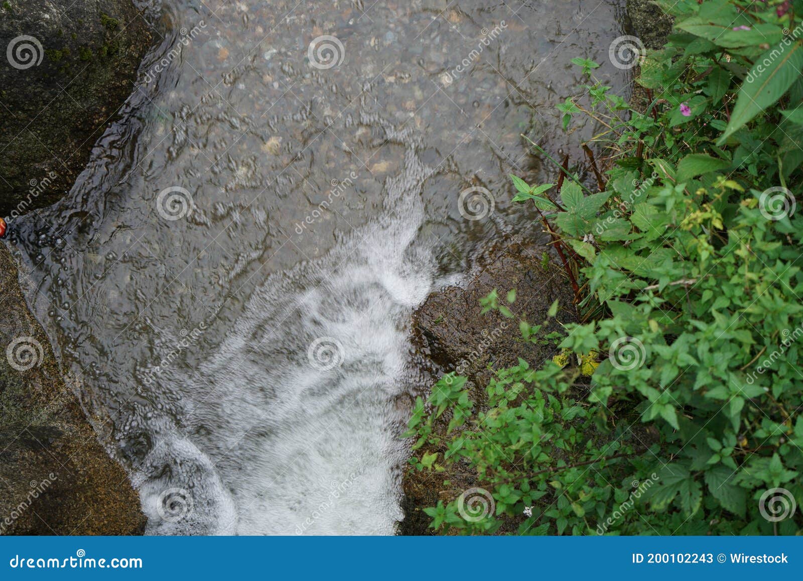 Overhead Shot of a Water Stream with Green Wild Plants on the Side ...