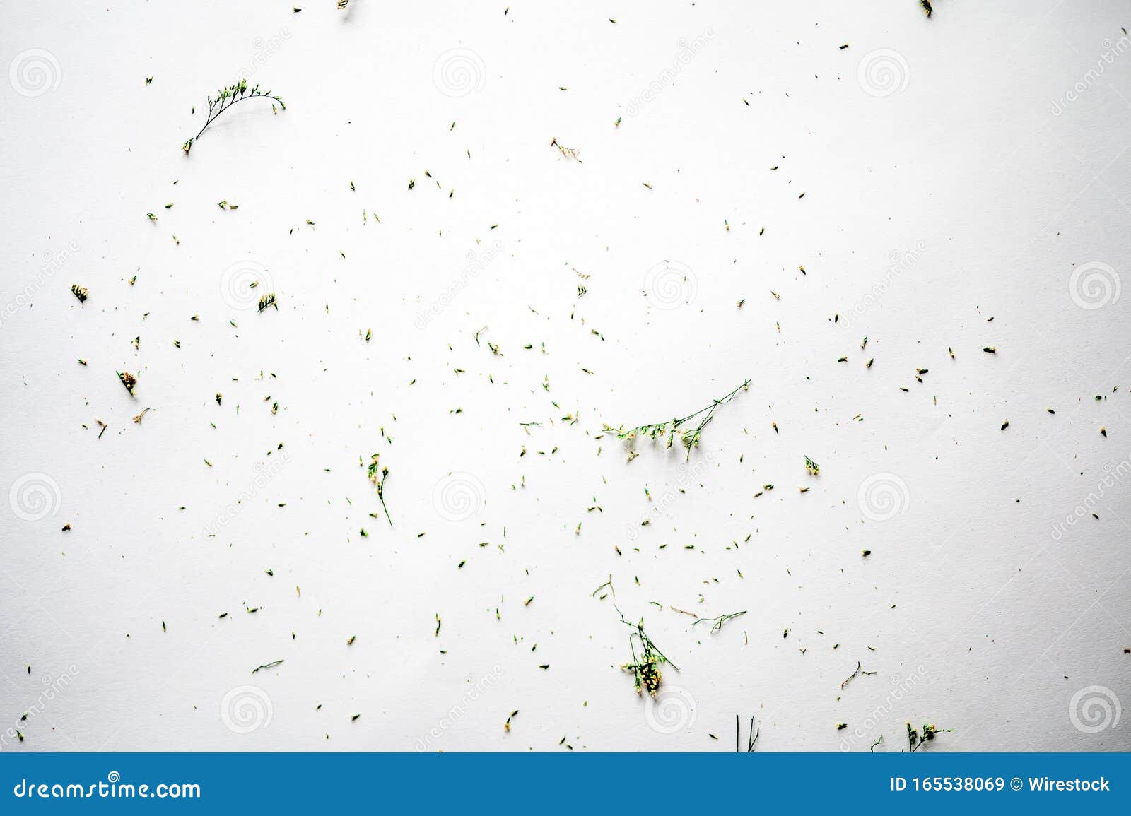 Overhead Shot of a White Surface with Broken Twig Pieces Over it Stock ...