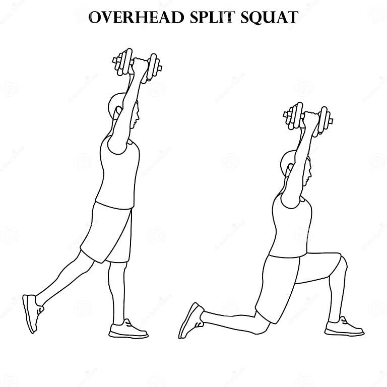 Overhead Split Squat Exercise Strength Workout Vector Illustration ...