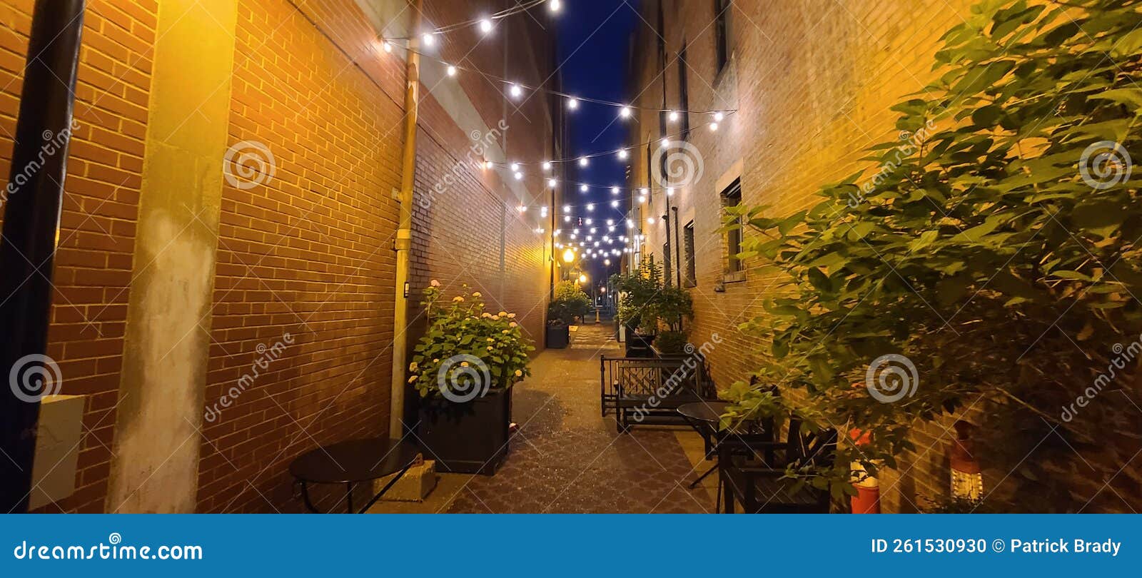 Overhead String Lights in Alleyway Stock Photo - Image of alley, house ...