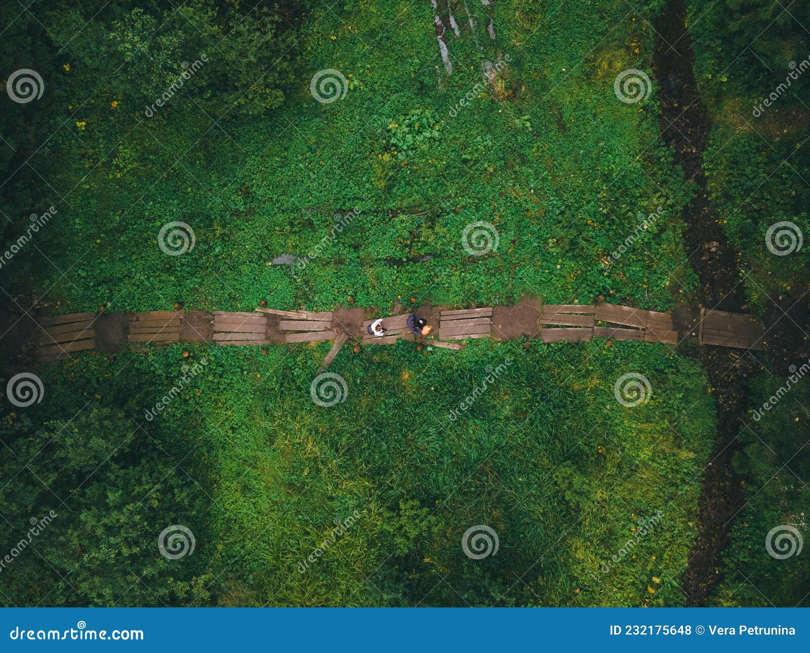 Overhead Top View of Trail in the Forest Stock Photo - Image of ...