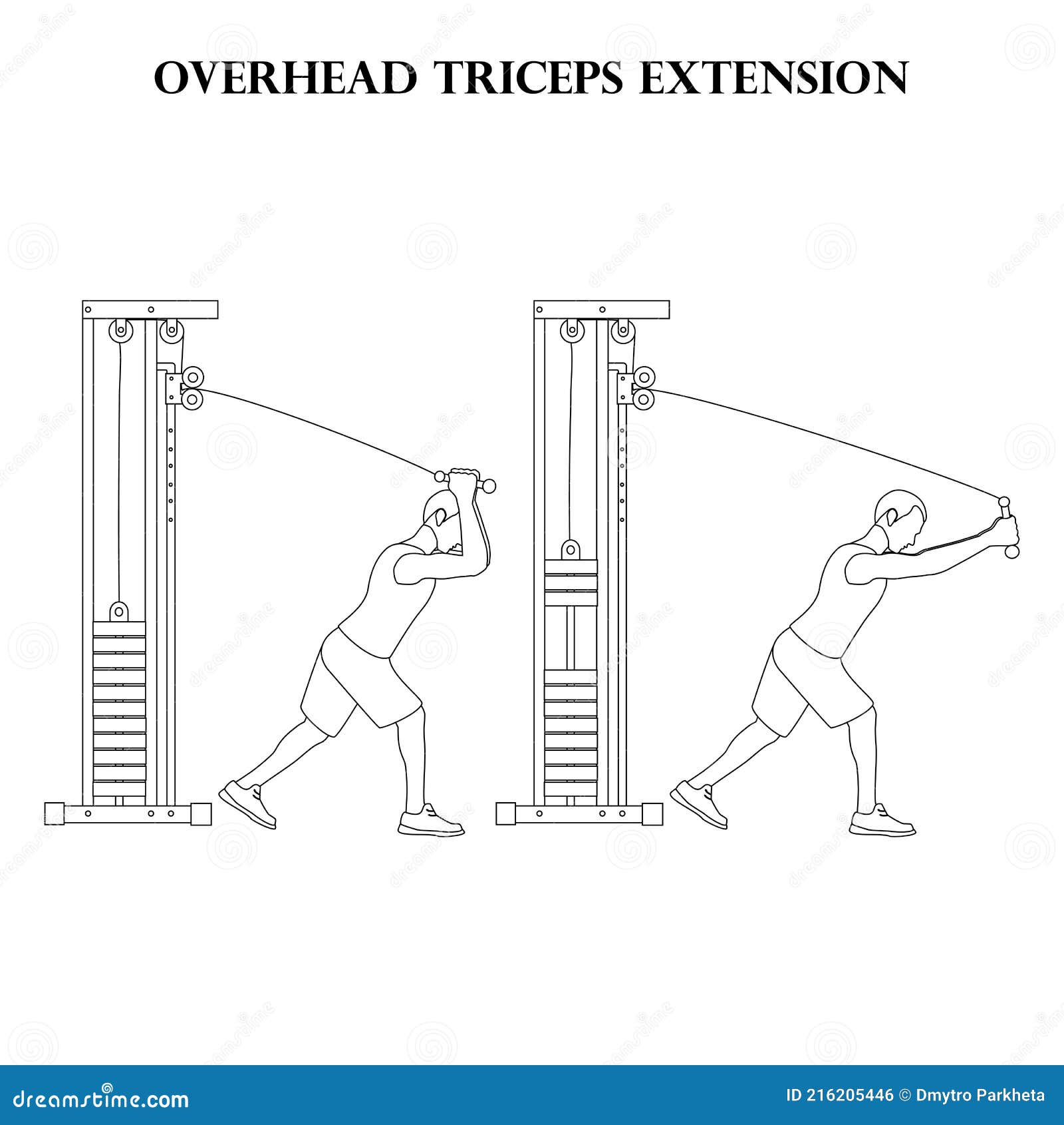 Overhead Triceps Extension Exercise Strength Workout Vector ...