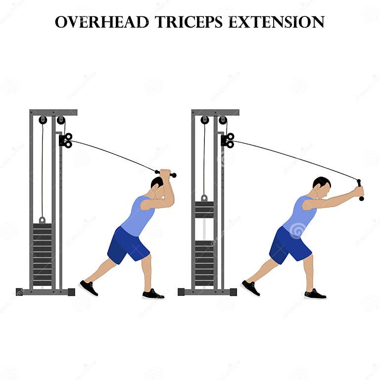 Overhead Triceps Extension Exercise Strength Workout Vector ...
