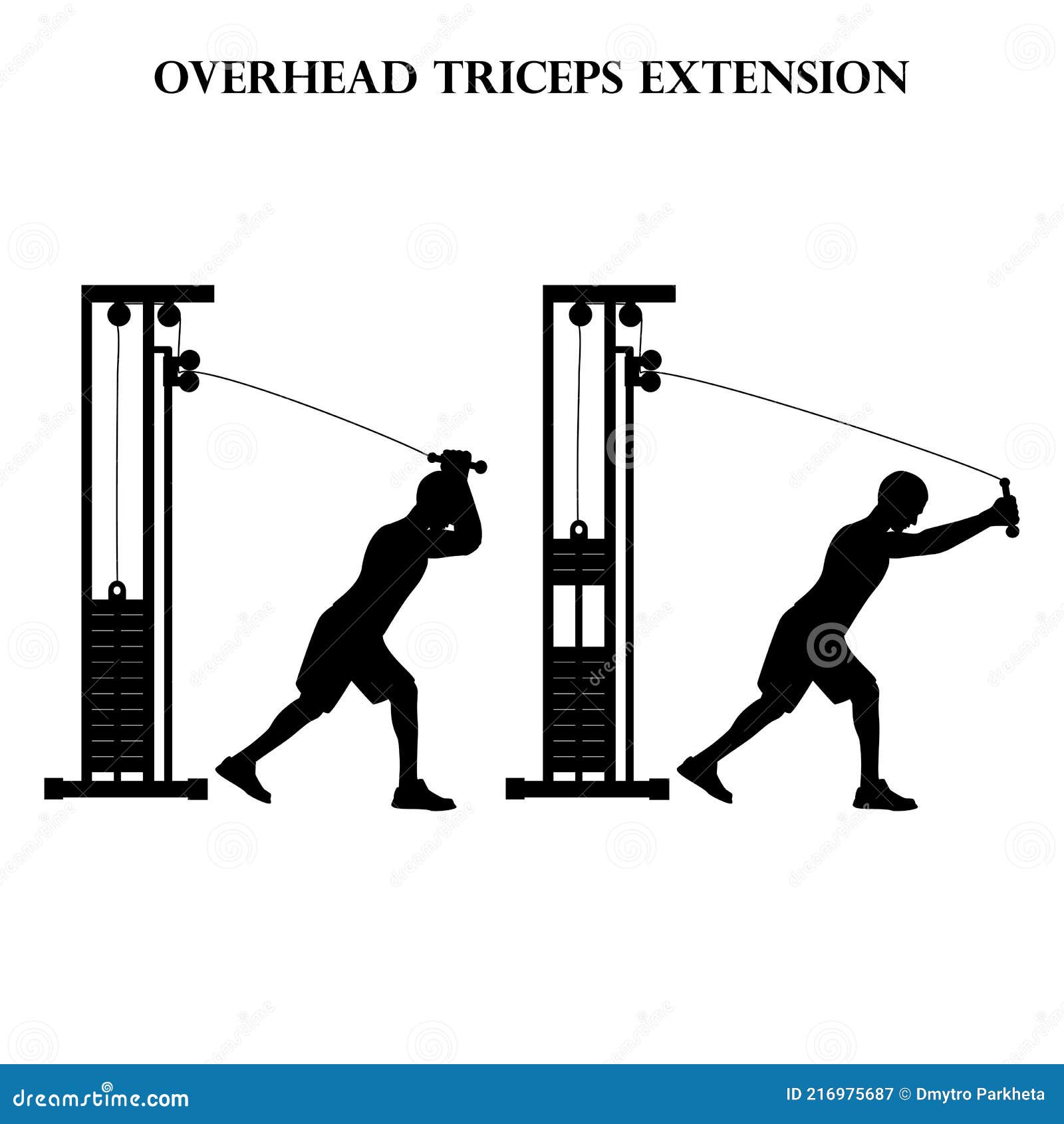 Overhead Triceps Extension Exercise Strength Workout Vector ...