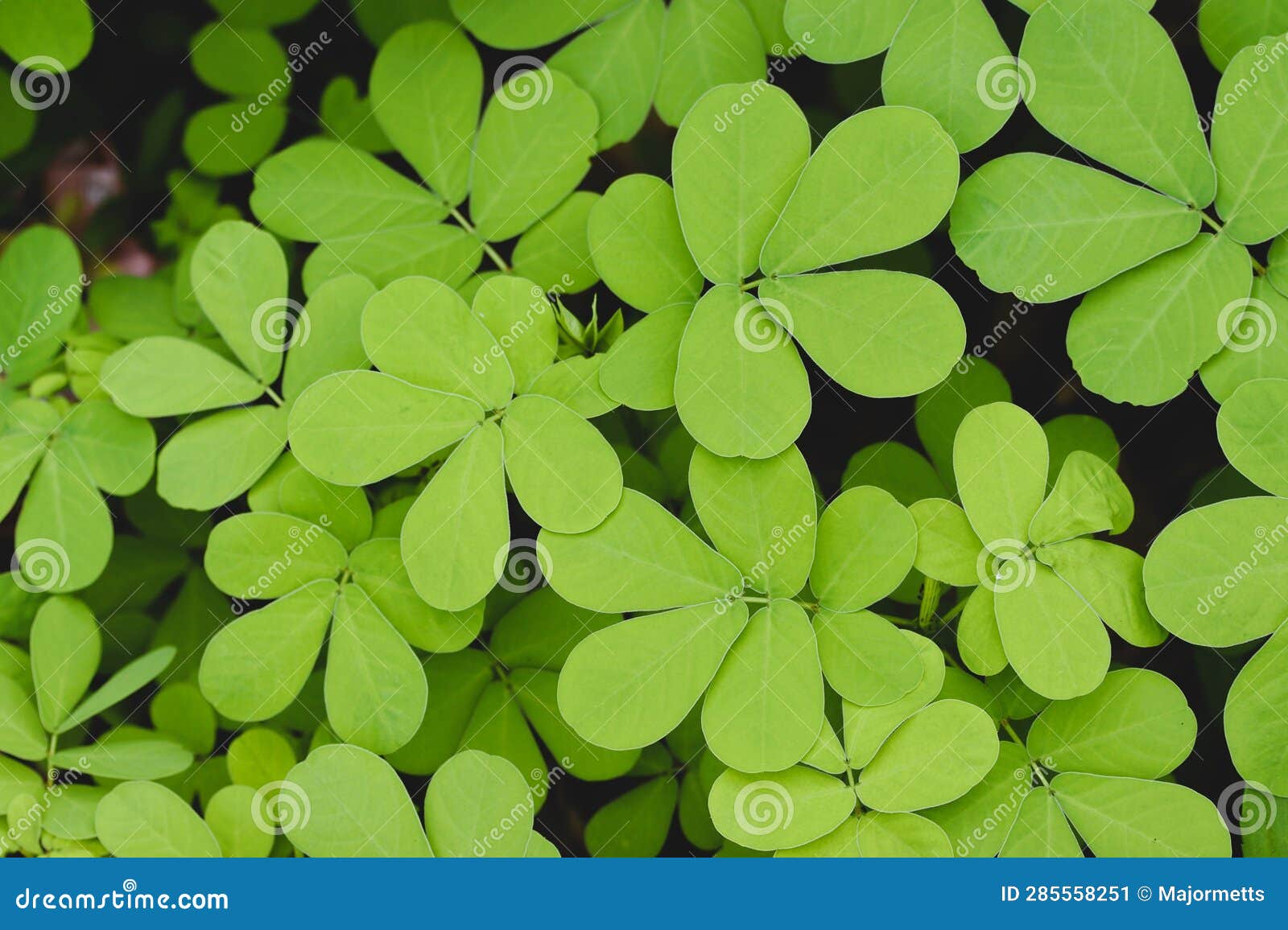 View Of A Sickle With Window In The Background Royalty-Free Stock Photo ...