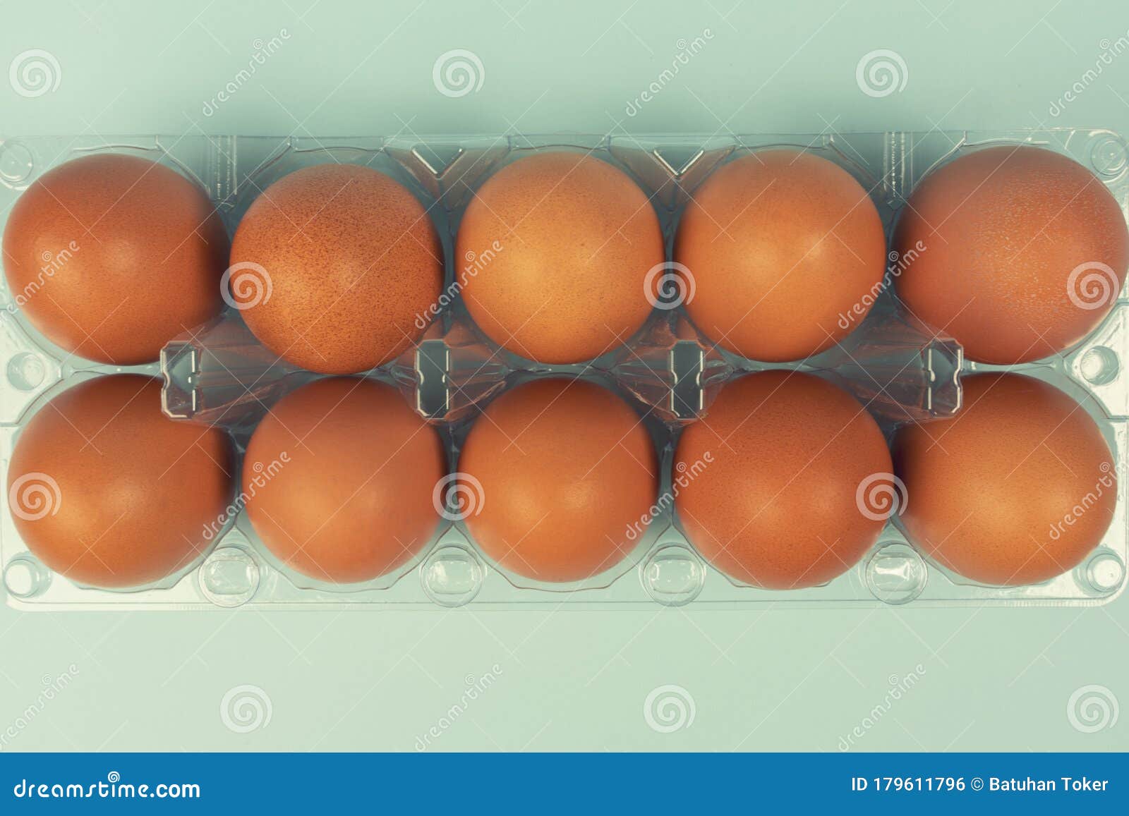 Overhead View of Brown Chicken Eggs in an Open Egg Box Isolated on ...