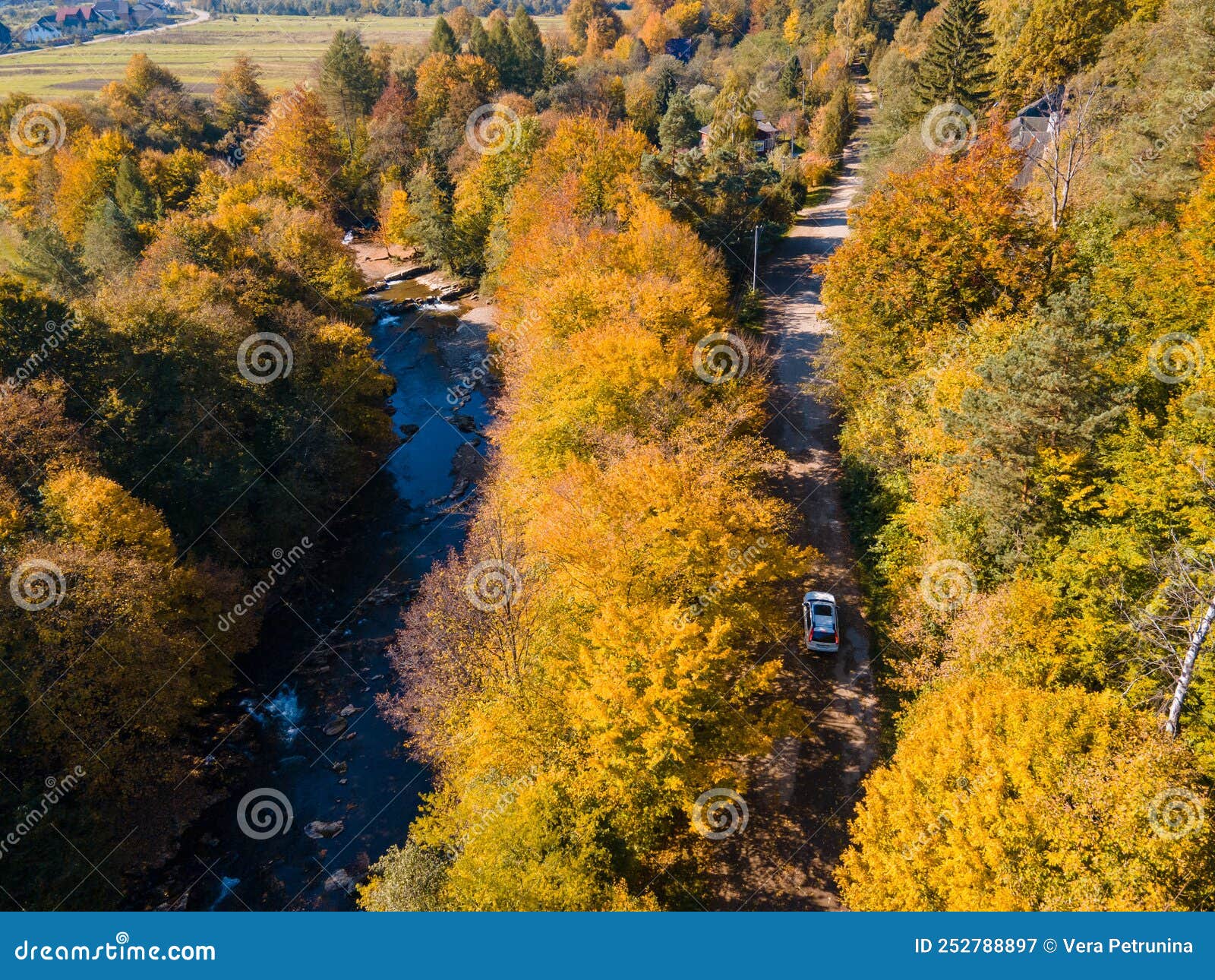 Overhead View of the Car Moving by Road in Autumn Forest Stock Image ...